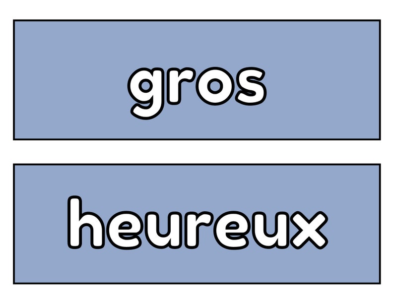 French Adjectives for Classroom Word Walls (french Vocabulary ...