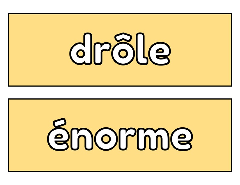 French Adjectives for Classroom Word Walls (french Vocabulary ...