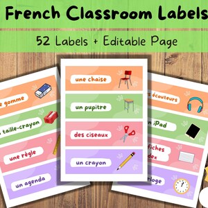 French Classroom Labels (vocabulary, FSL Instruction, Editable Labels ...