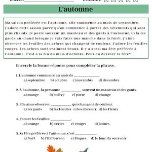 Basic French Reading Comprehension (french Learning, Classroom ...