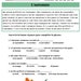 Basic French Reading Comprehension french Learning, Classroom Printable ...