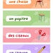 French Classroom Labels (vocabulary, FSL Instruction, Editable Labels ...