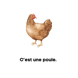 Les Animaux De La Ferme (basic French Language Book, FSL Classroom ...