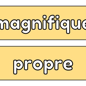 French Adjectives for Classroom Word Walls (french Vocabulary ...