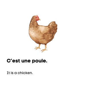 Les Animaux De La Ferme (basic French Language Book, FSL Classroom ...