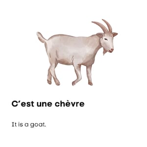 Les Animaux De La Ferme (basic French Language Book, FSL Classroom ...