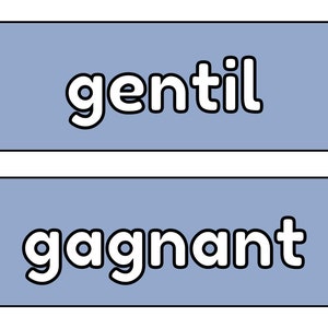 French Adjectives for Classroom Word Walls (french Vocabulary ...