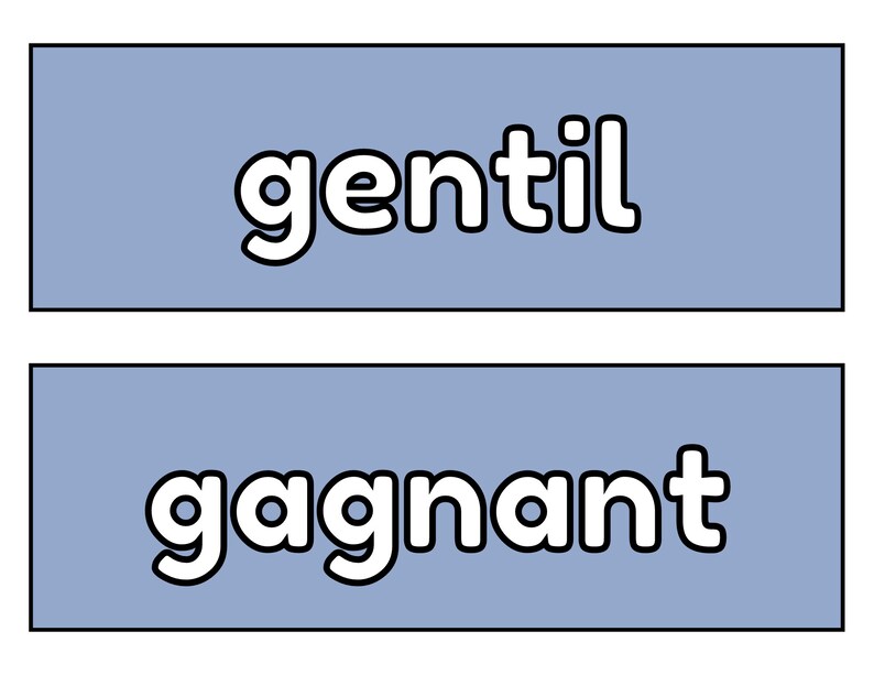 French Adjectives for Classroom Word Walls (french Vocabulary ...