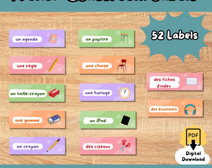 French Classroom Directions | FSL Visual Cue Cards | French Classroom ...