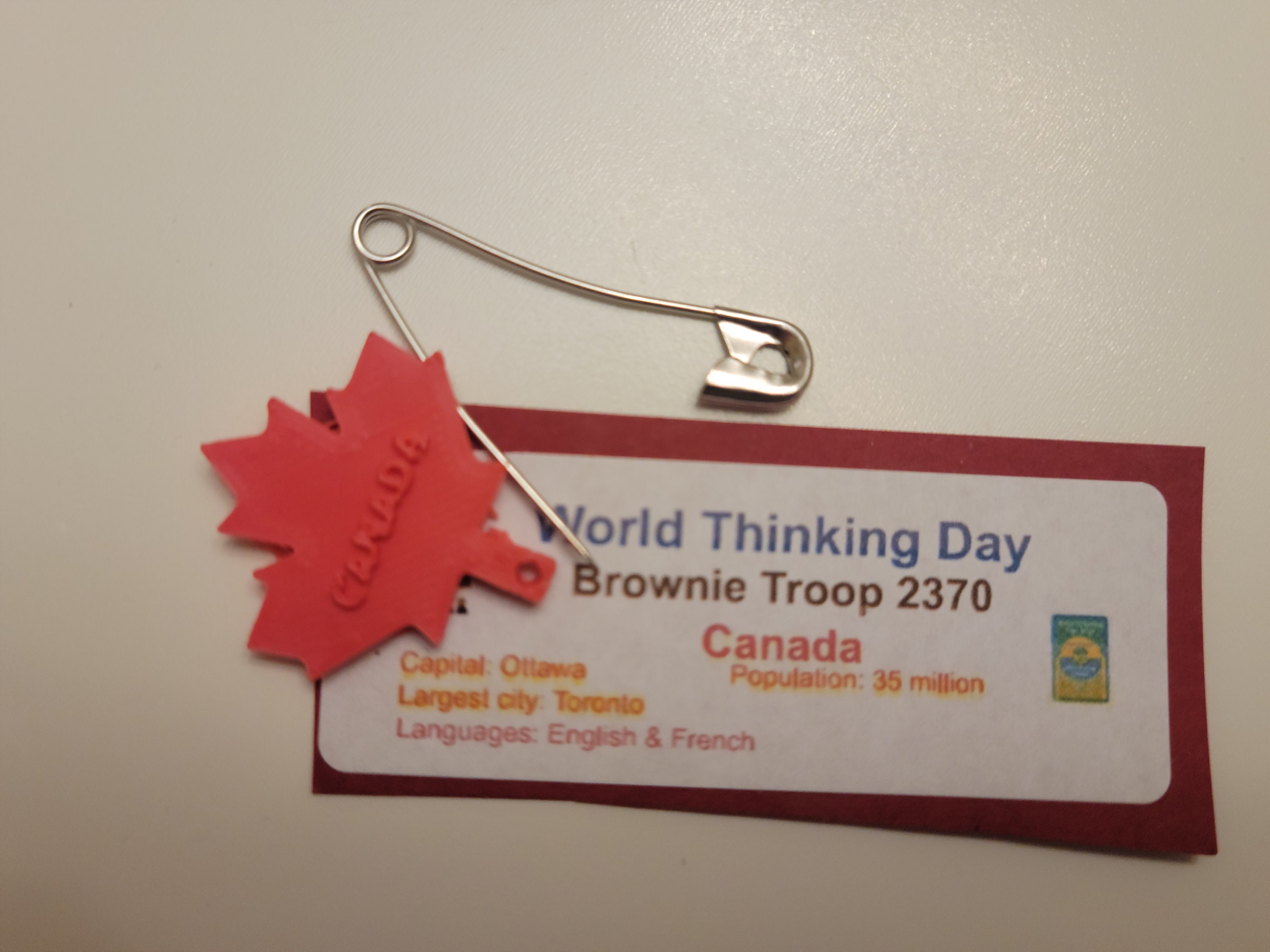 World Thinking Day Swaps