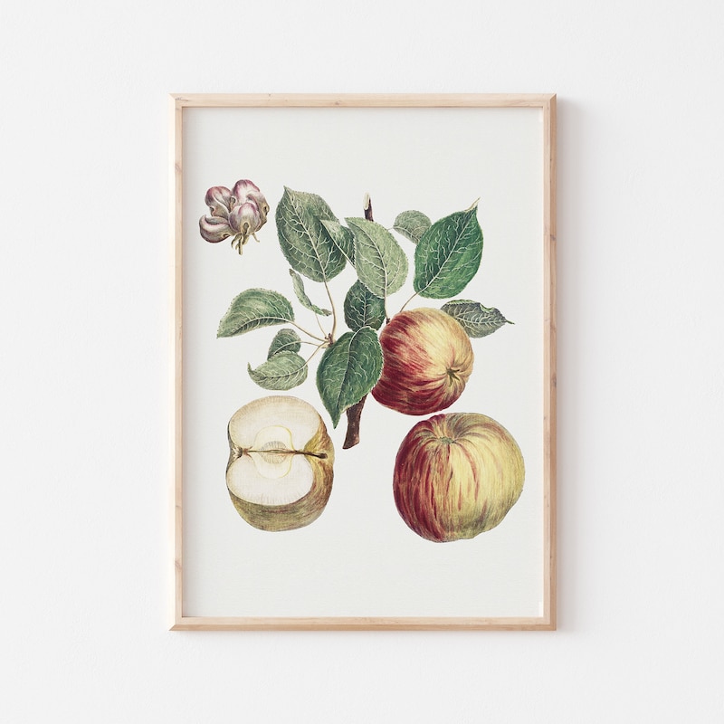 Botanical Poster - Etsy