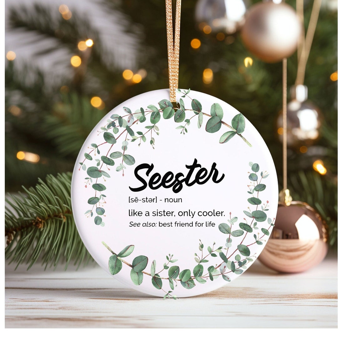 Best Friend Christmas Ornament Bestie Seester Noun Best Sister Gift ...
