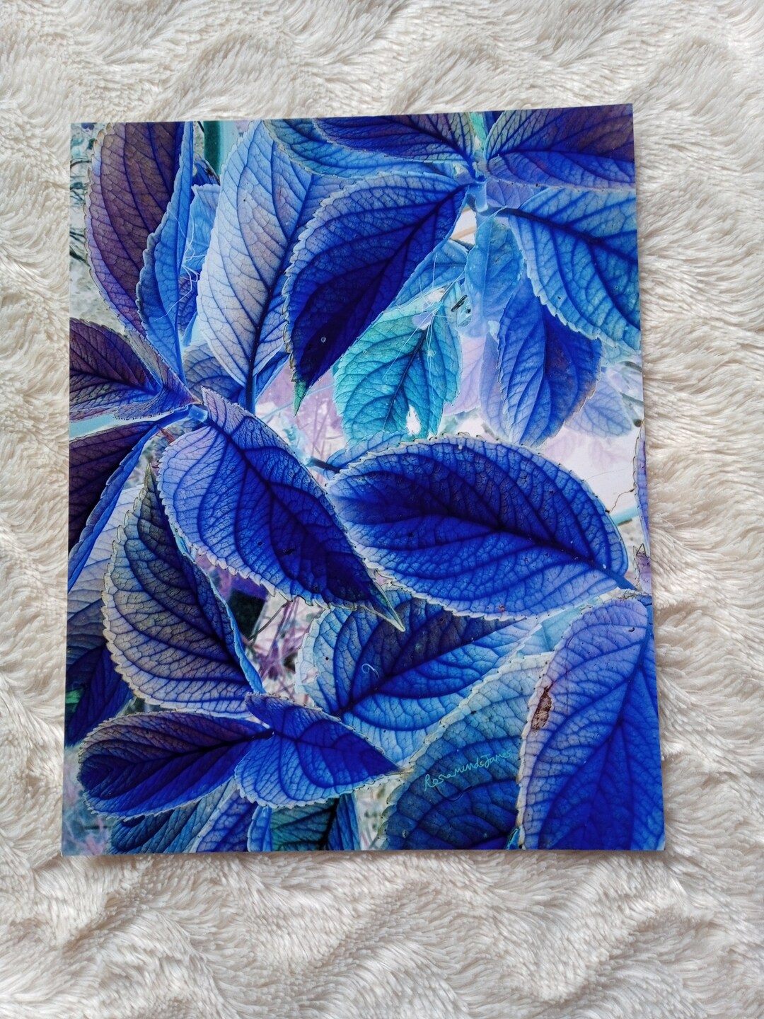 Indigo Absorption 10x8 Photography Print - Etsy