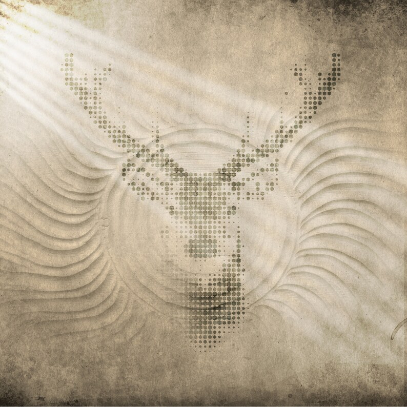 Gildan 5000 Deer Effect Color Chart, Full Editable Files, Tshirt Mockup ...