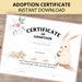 Pet Adoption Certificate, Rabbit Adoption Certificate, Mouse Adoption ...