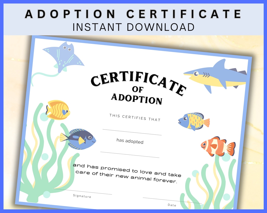 Fish for adoption store