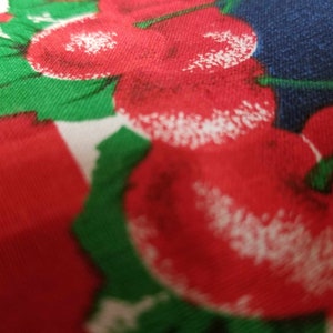 Vintage Gingham Cherries Fabric by Daisy Kingdom - Etsy