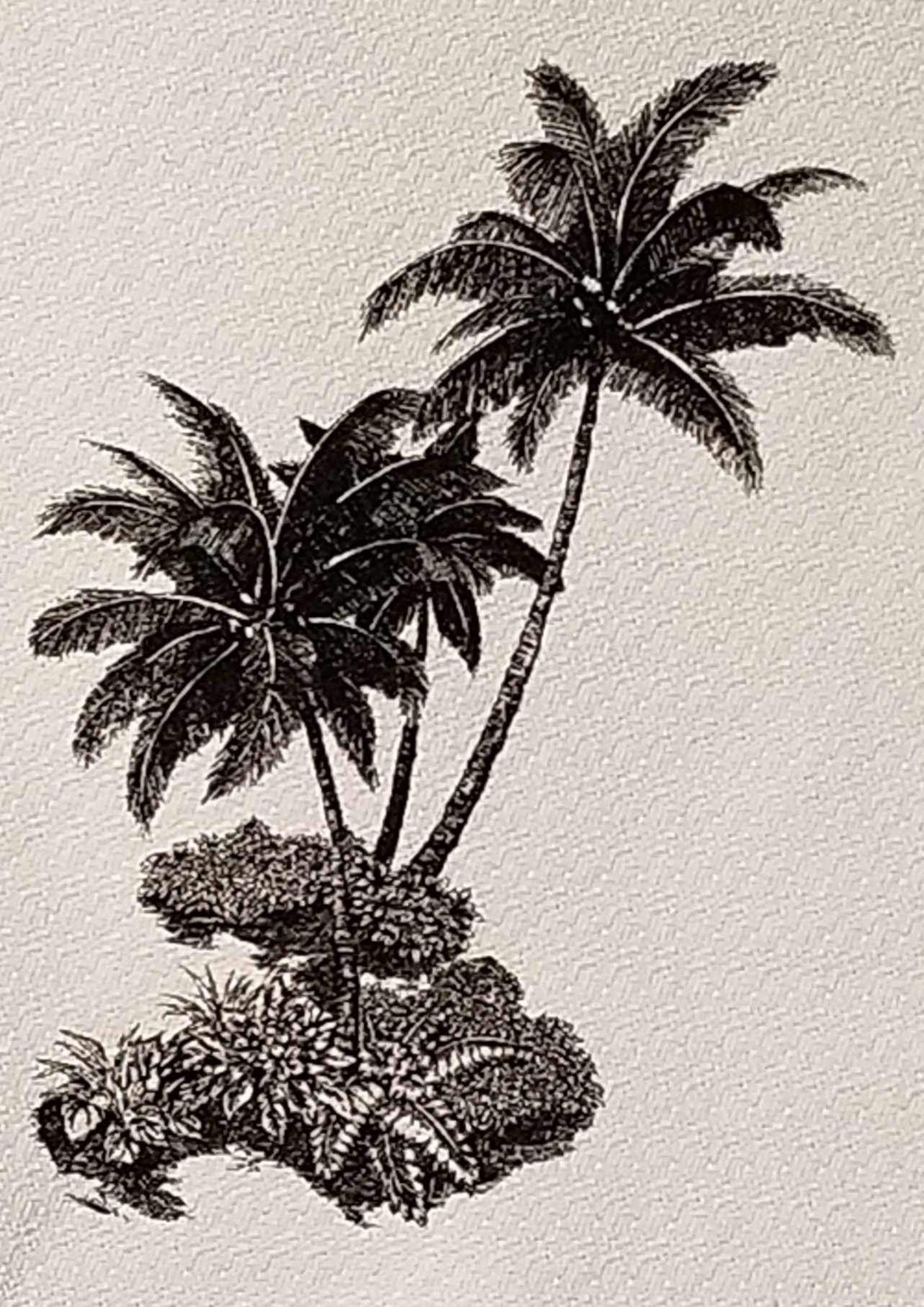 Tropical Black and White Barkcloth With Palm Trees and Flowers - Etsy