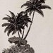 Tropical Black and White Barkcloth With Palm Trees and Flowers - Etsy