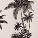 Tropical Black and White Barkcloth With Palm Trees and Flowers - Etsy