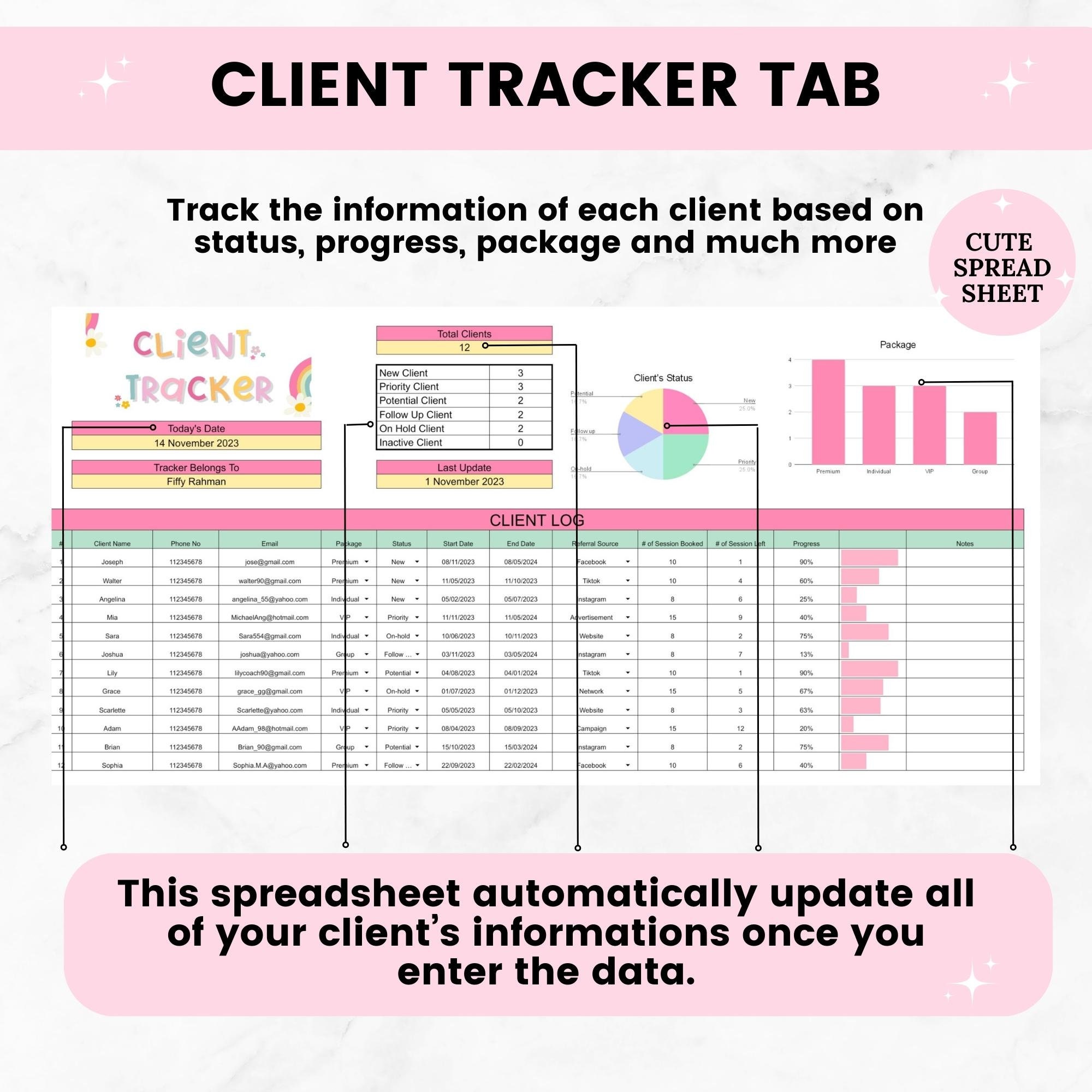 Client & Payment Tracker Google Sheet Template, Client Management ...