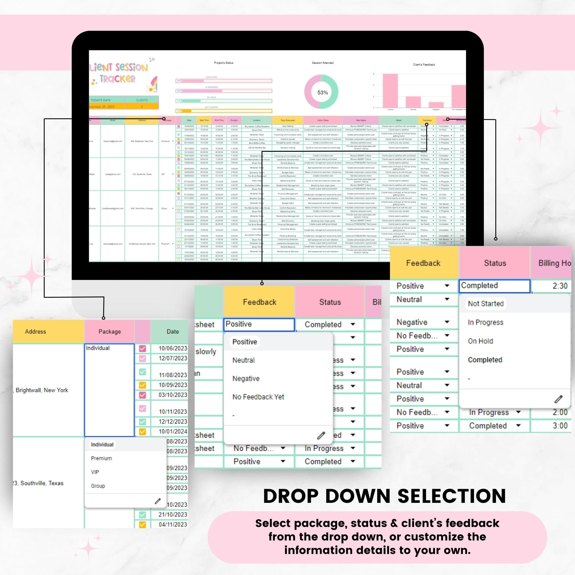 Client Session Tracker Spreadsheet for Coaches, Client Management Spreadsheet, Coaching Tracker ...