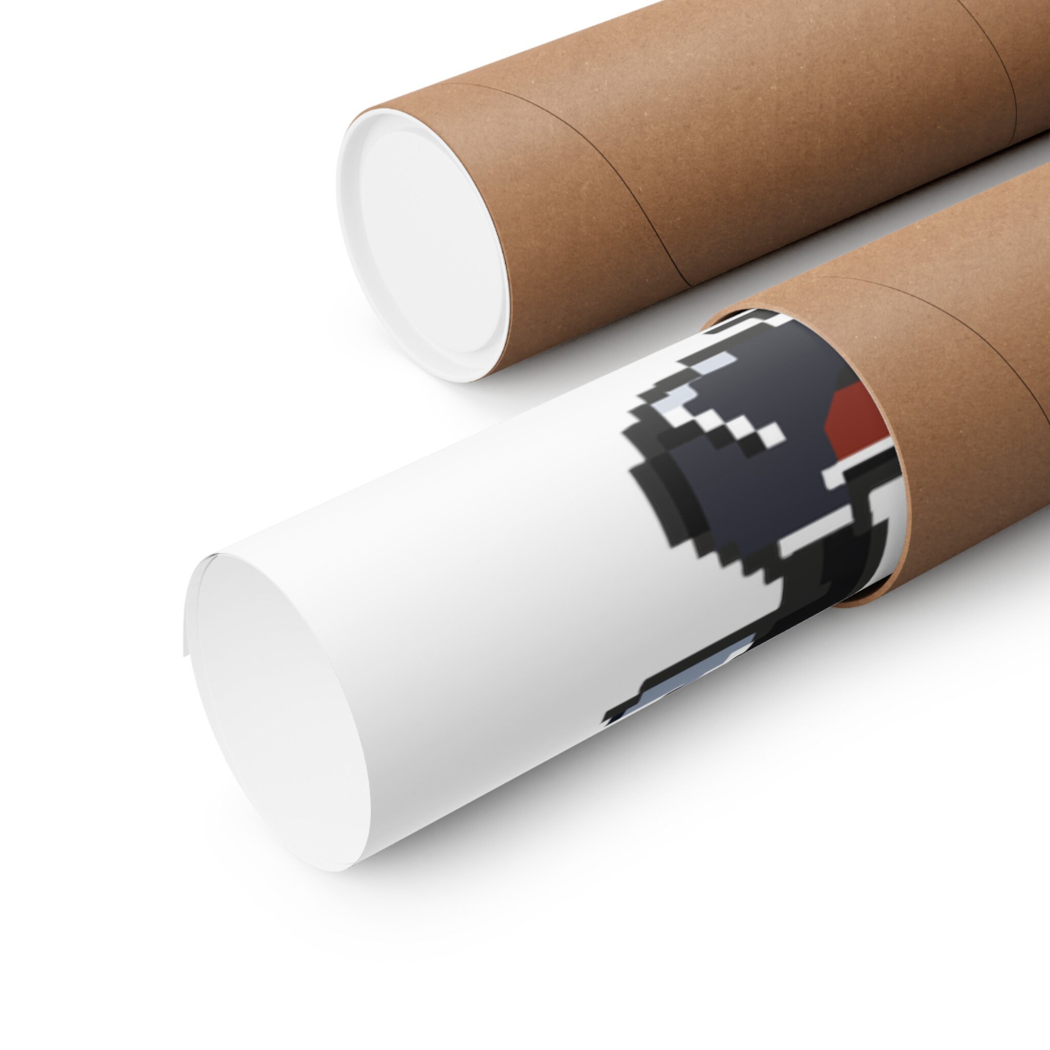 Póster de especies de patos de 8 bits Arte retro de la pared de pájaros ...