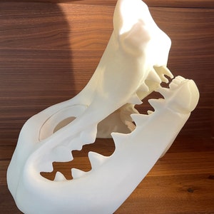 Hypertoon Opossum Fursuit Base Very Large :-) High Quality ABS - Etsy