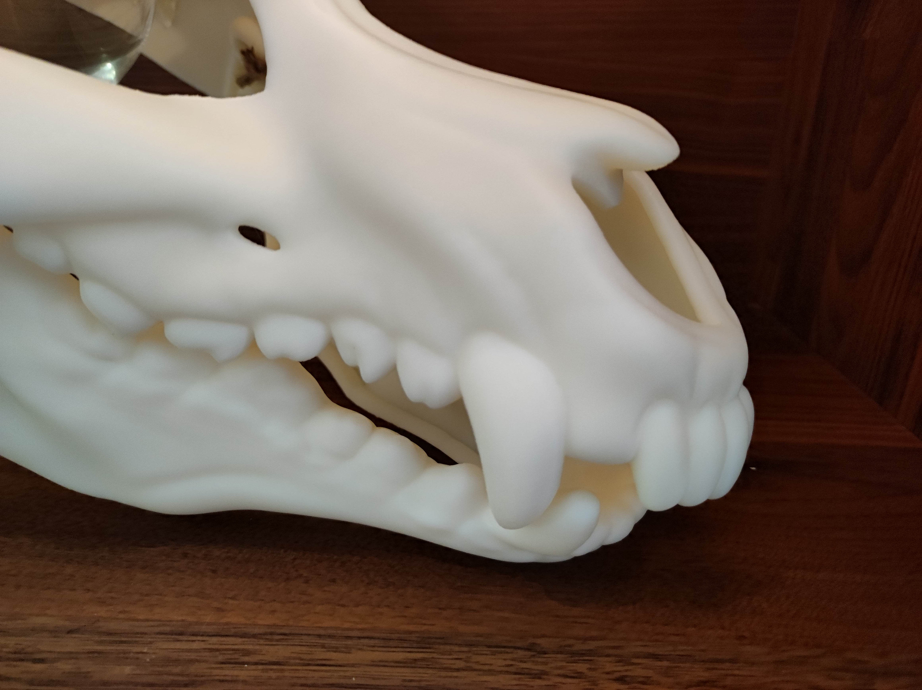 Skulldog Fursuit and Cosplay Base / Mask High Quality ABS - Etsy Australia