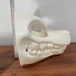 Hypertoon Dragon Fursuit Base "standard/smaller Size" High Quality ABS ...