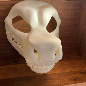 Hypertoon Dragon Fursuit Base Very Large :-) High Quality ABS - Etsy