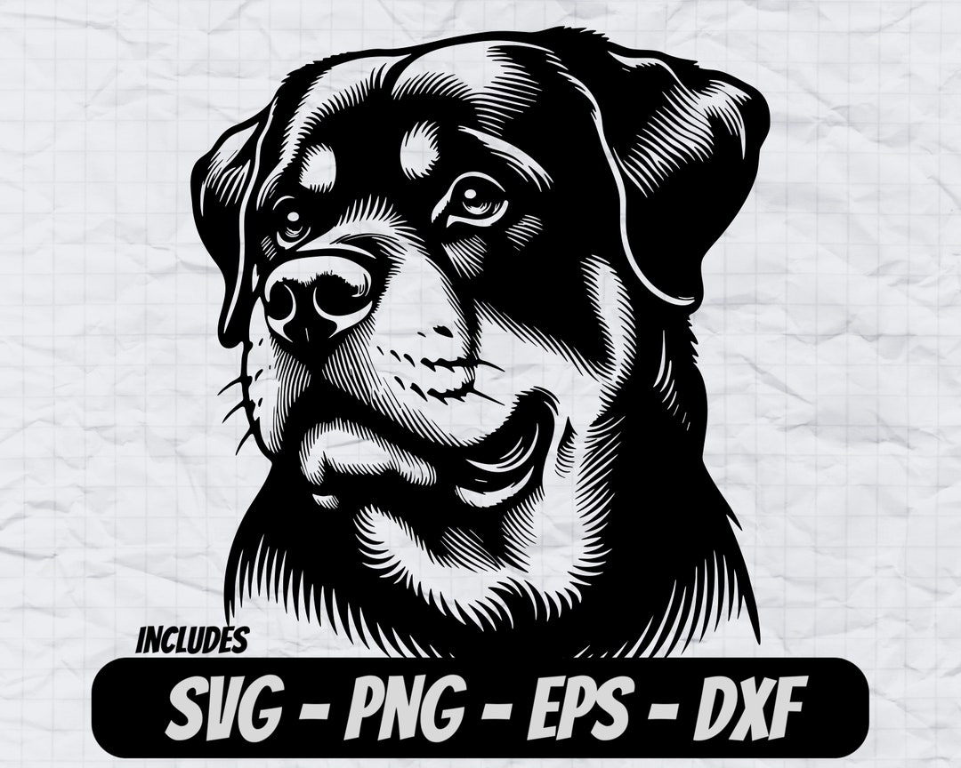 Rottweiler PNG Design, Dog SVG Clipart, Sublimation Design, Cricut Cut ...