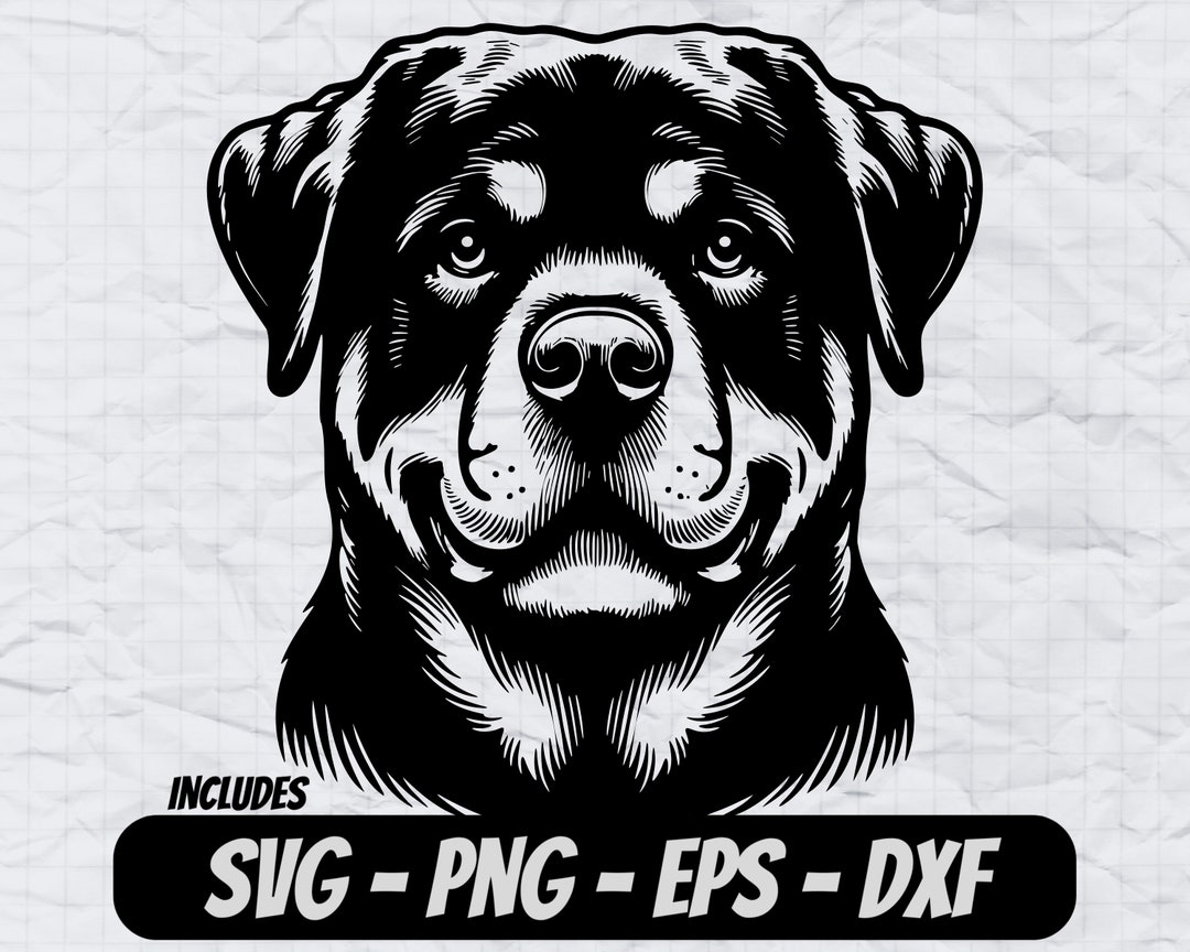 Rottweiler Svg Design, Dog PNG Clipart, Sublimation Design, Cricut Cut ...
