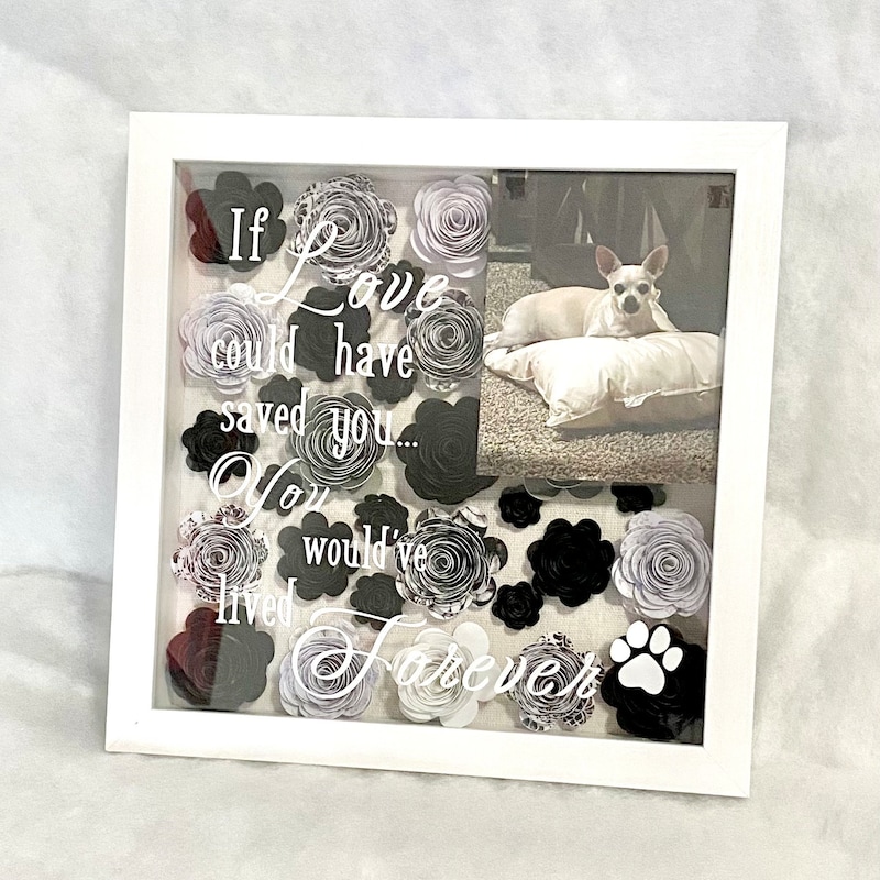 Pet Memorial Shadow Box - Etsy