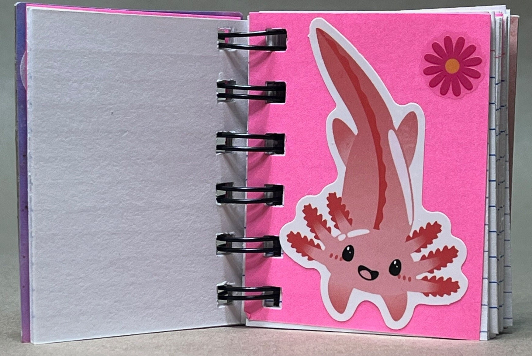 Axolotl Handmade Mini-notebook - Etsy