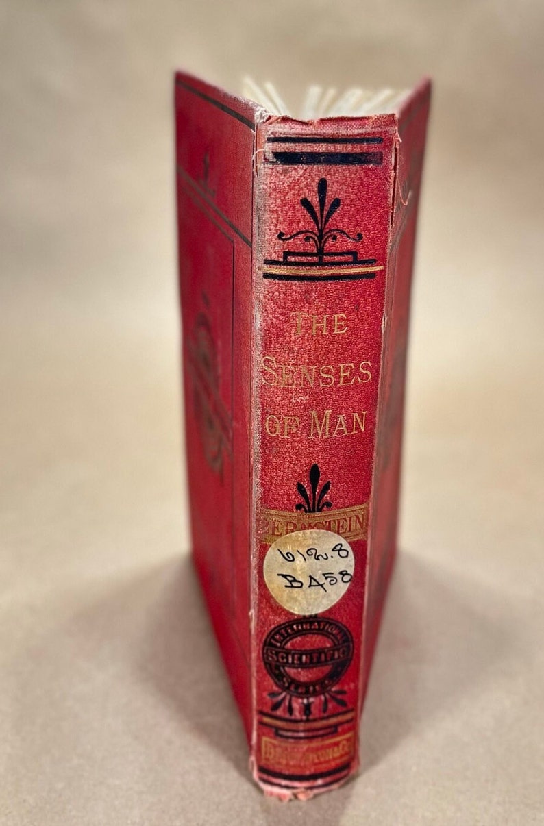 Antique 1893 Book the Five Senses of Man by Julius - Etsy