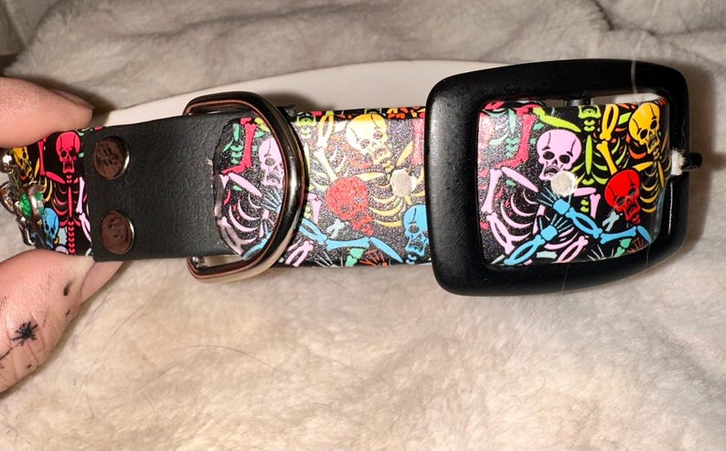 Skulls and Stars Biothane Pet Collar - Etsy