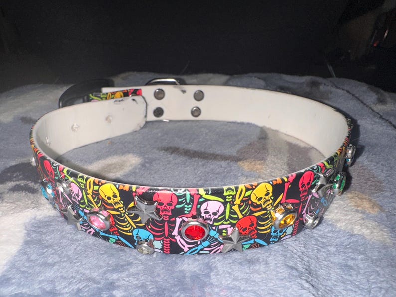 Skulls and Stars Biothane Pet Collar - Etsy