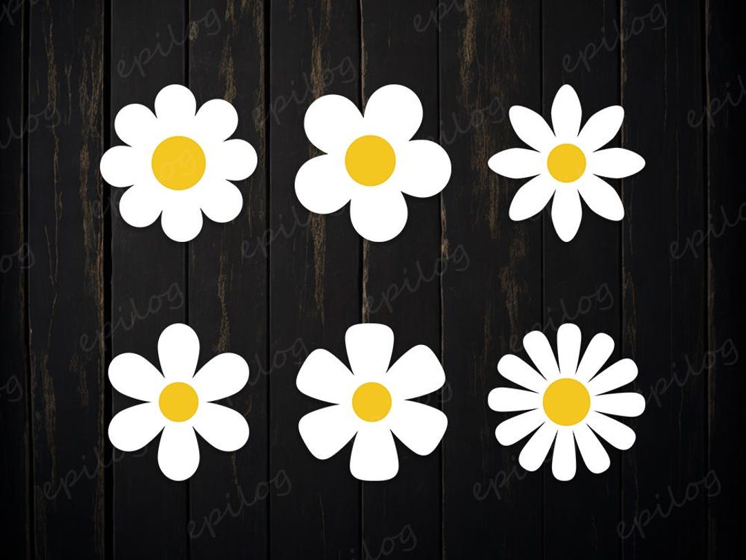 Daisy SVG Bundle | Daisy Flowers Vector - Etsy