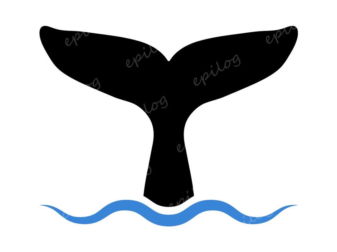 Whale Tale SVG Vector Printable PNG Cut Clipart Cricut - Etsy