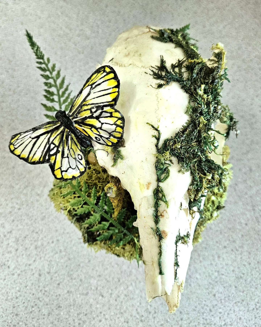 Skull Plant Deco Moss Covered Deer Skull With Butterfly - Etsy