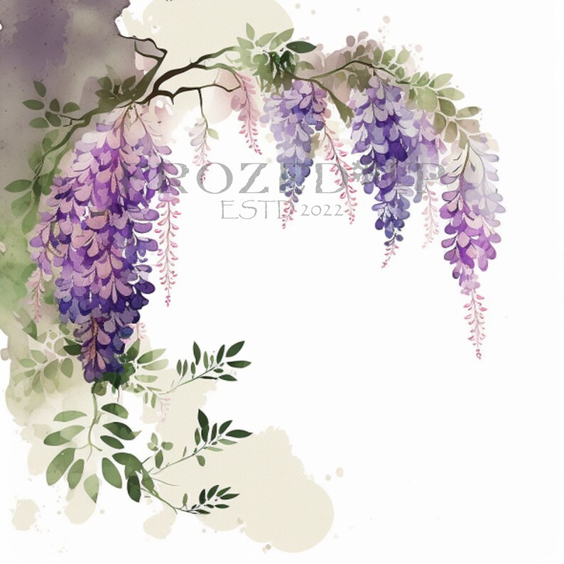 Watercolor Wisteria Digital Clipart Bundle, 12 Pngs, Beautiful Designs ...