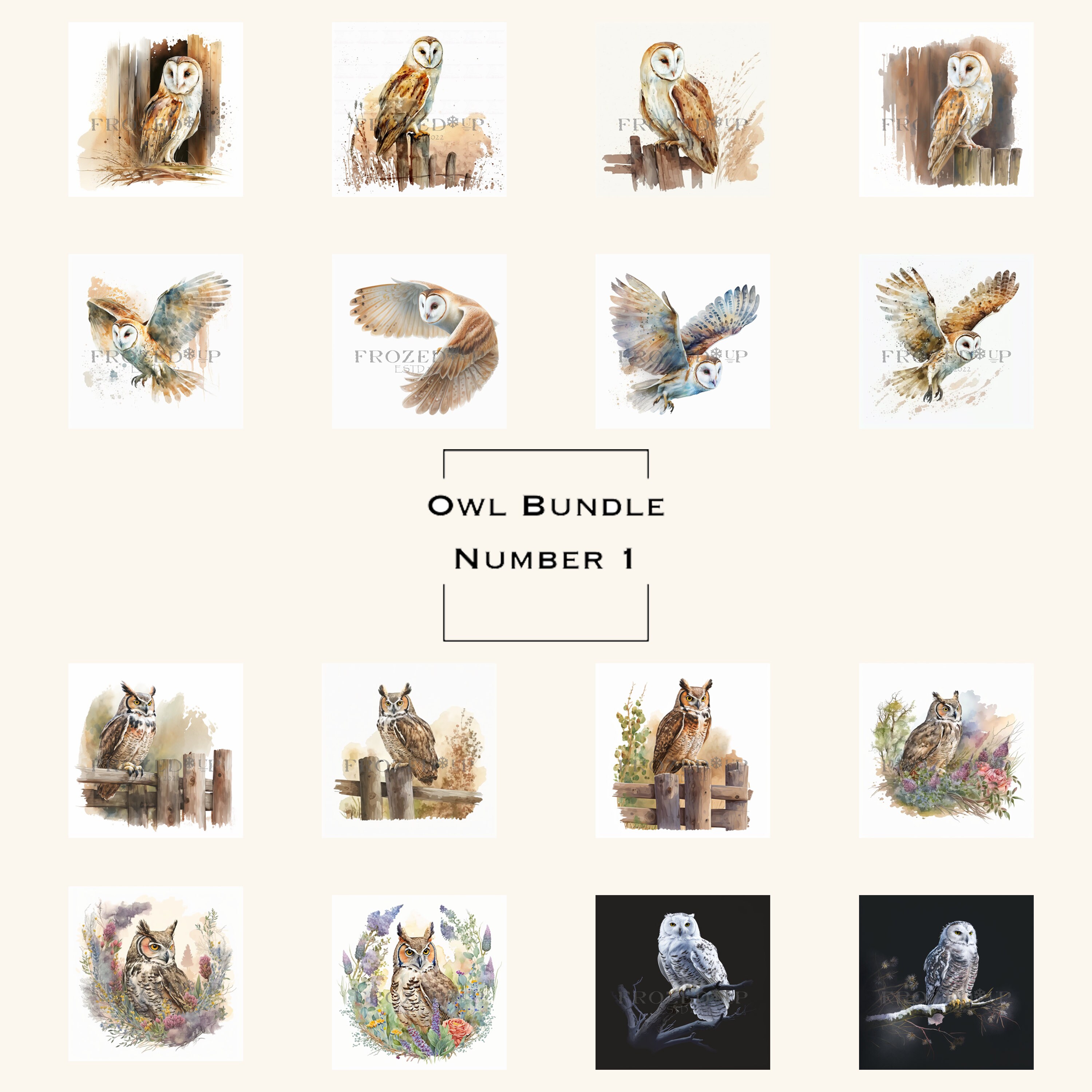 Owl Digital Clipart Bundle, Beautiful Designs, Great Horned Owl, Barn ...