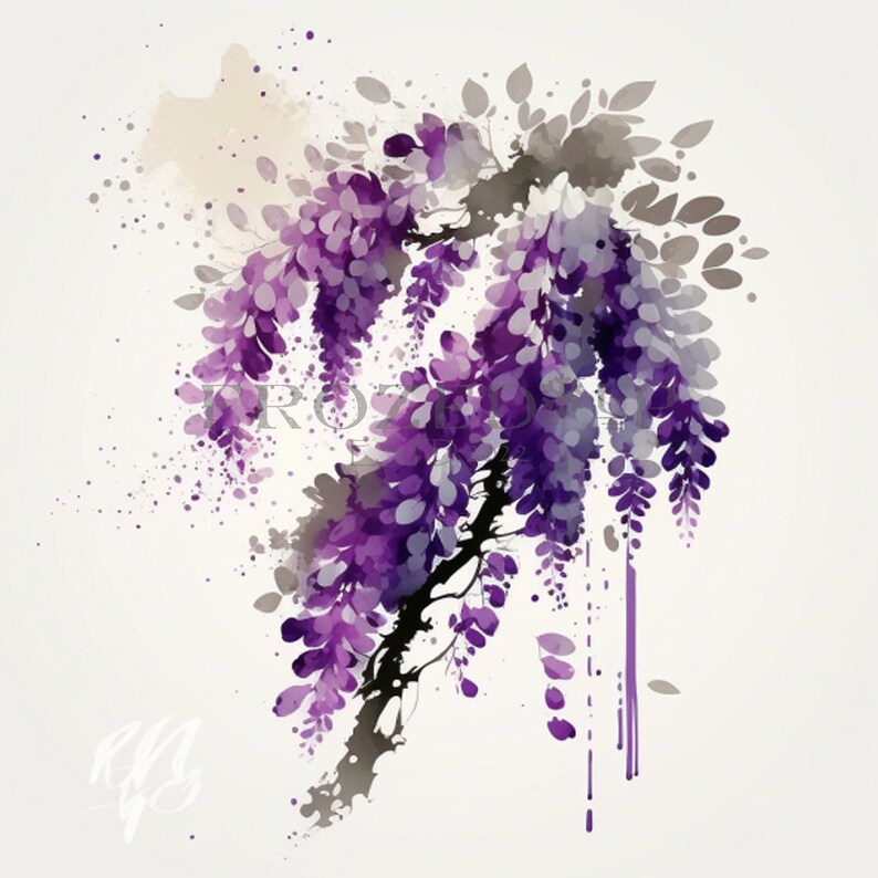 Watercolor Wisteria Digital Clipart Bundle, 12 Pngs, Beautiful Designs ...