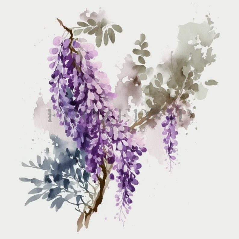 Watercolor Wisteria Digital Clipart Bundle, 12 Pngs, Beautiful Designs ...