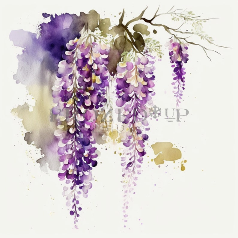 Watercolor Wisteria Digital Clipart Bundle, 12 Pngs, Beautiful Designs ...
