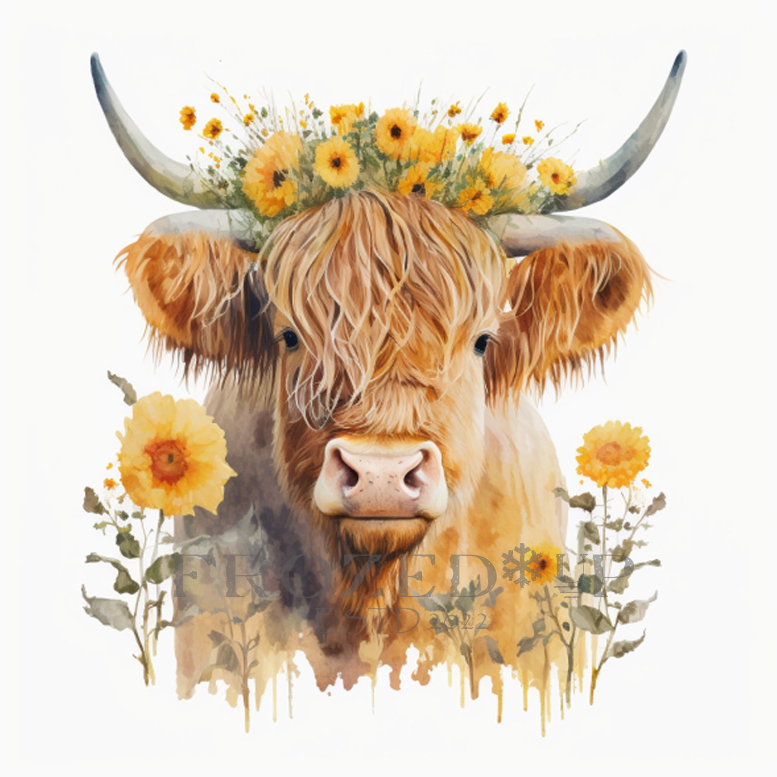 Highland Cow Digital Clipart Bundle, Beautiful Designs, Unique for ...