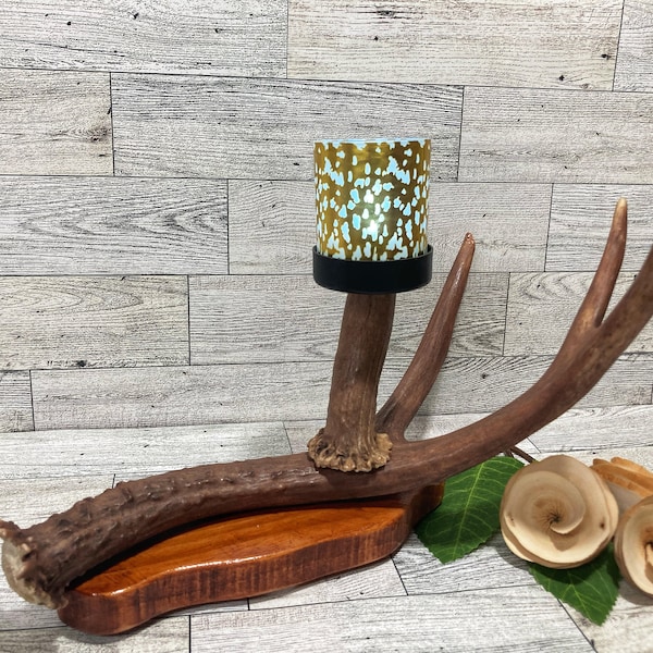 Deer Antler Coffee Table - Etsy