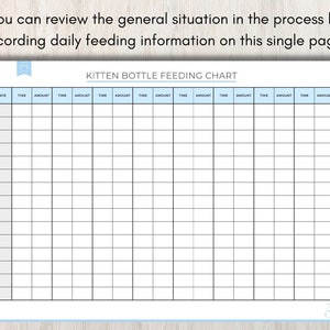 Kitten Bottle Feeding Tracker: Newborn Cat Care Chart (printable PDF ...