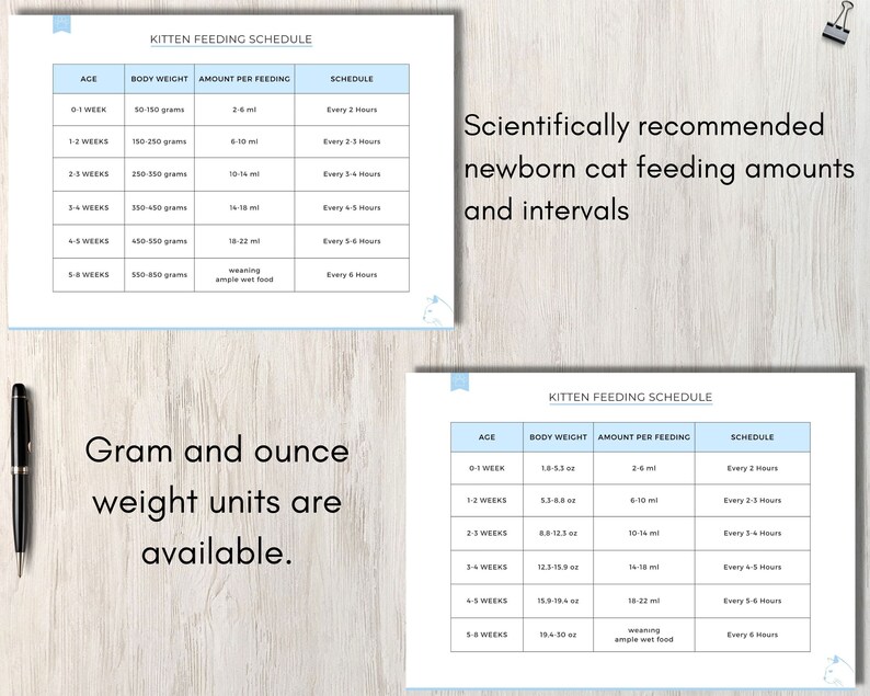 Kitten Bottle Feeding Tracker: Newborn Cat Care Chart (printable PDF) - Etsy